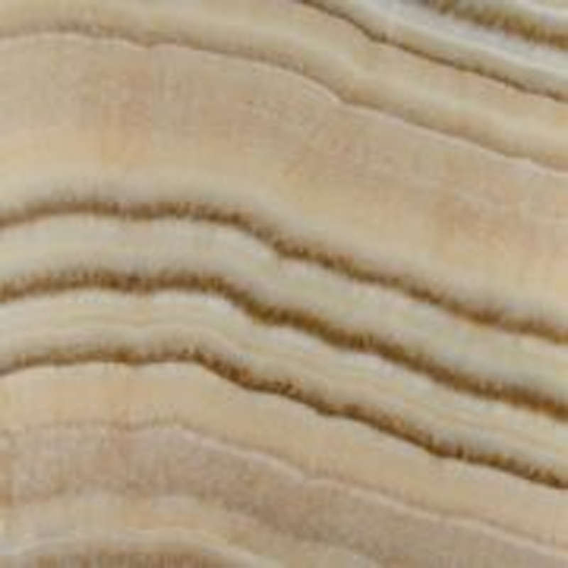 Callacata M | Stone Source