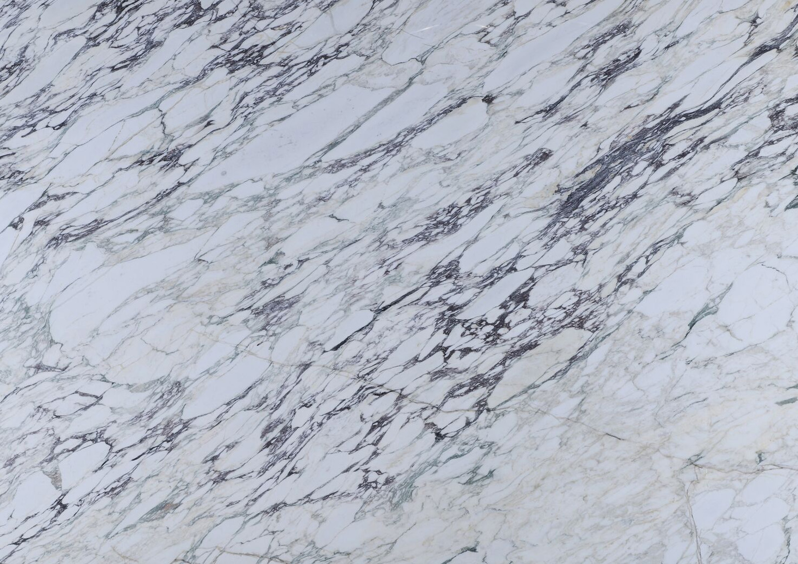 Calacatta M | Stone Source