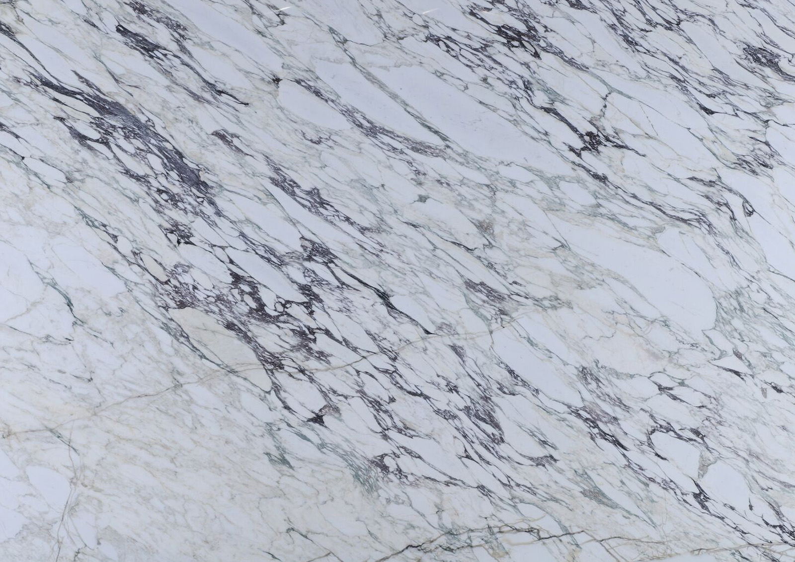 Calacatta M | Stone Source