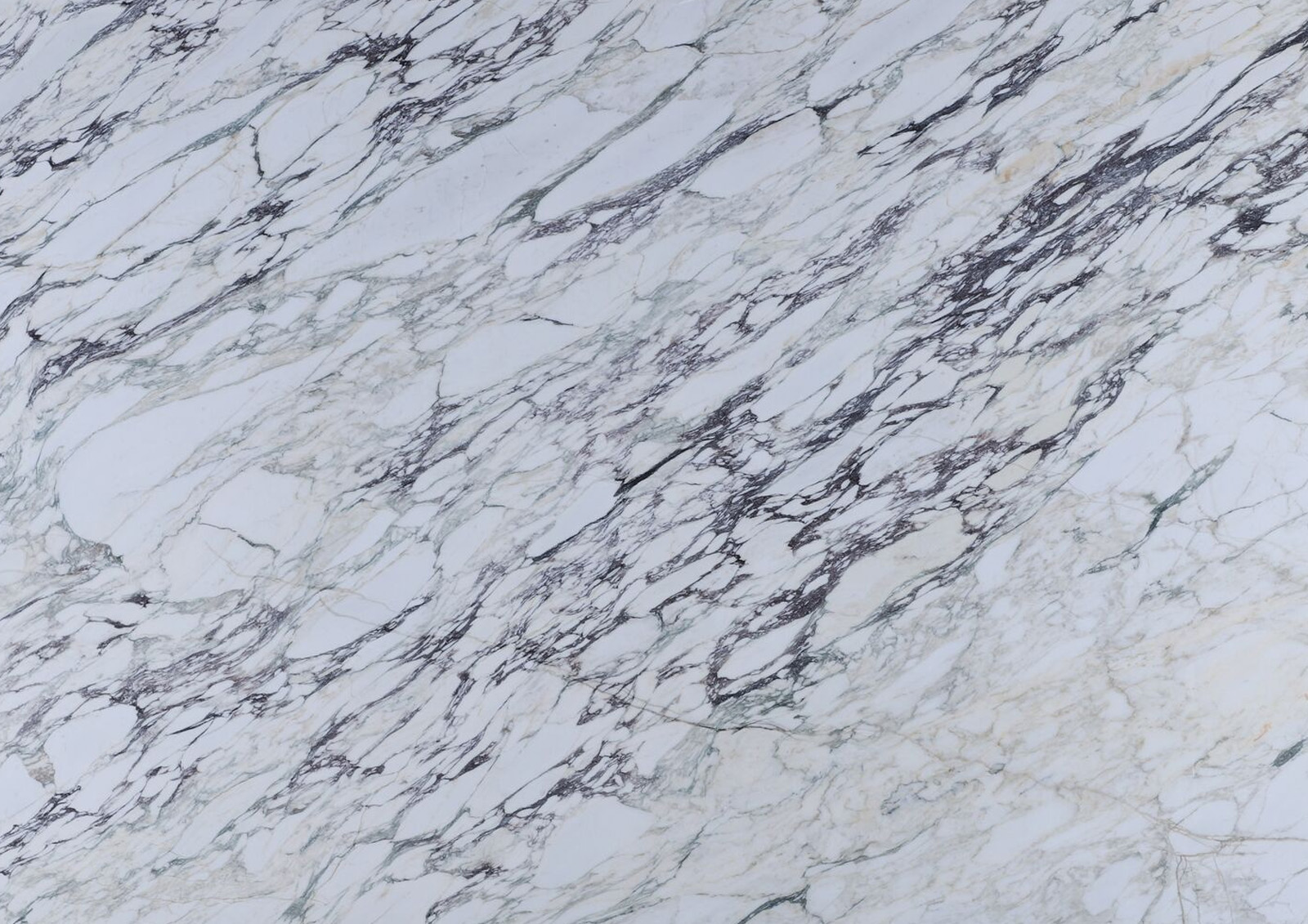 Calacatta M | Stone Source
