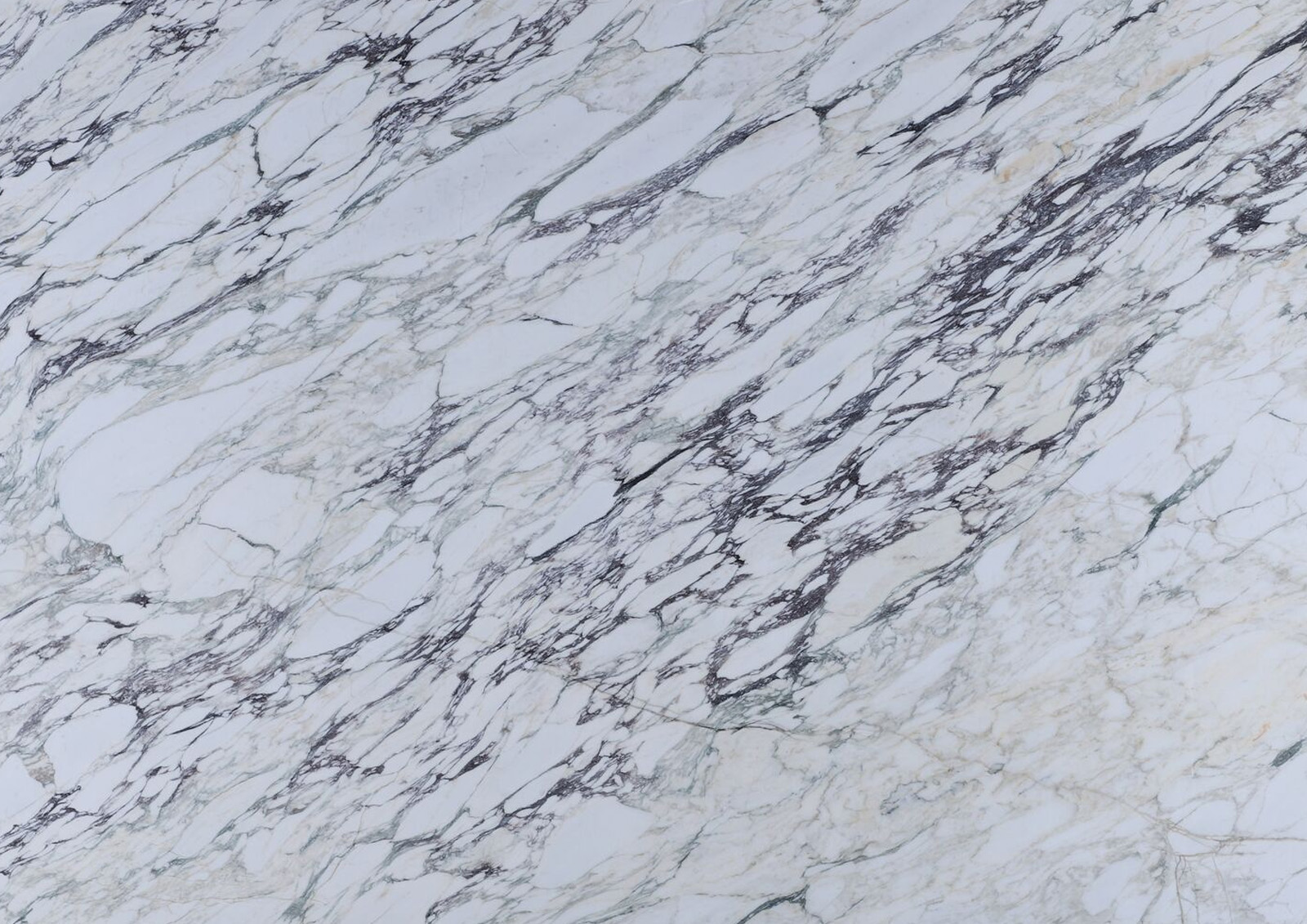 Calacatta M | Stone Source
